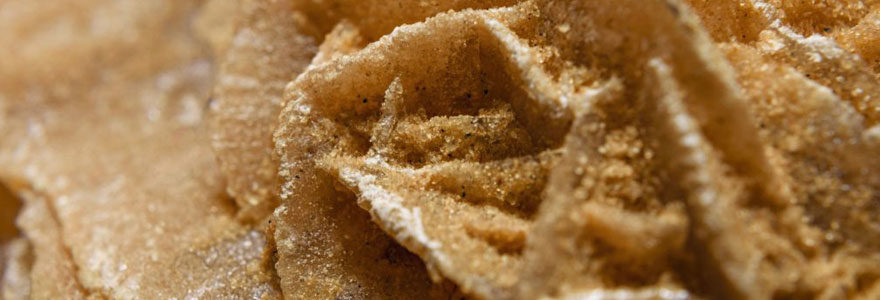 Les vertus de la rose des sables, comprenez-les bien.